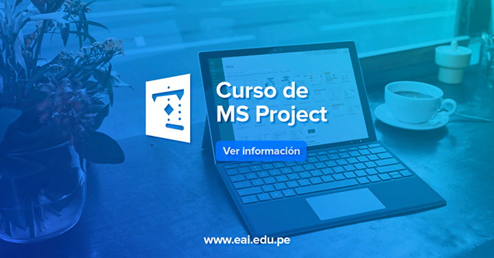 Curso de MS Project - Escuela Americana de Innovación
